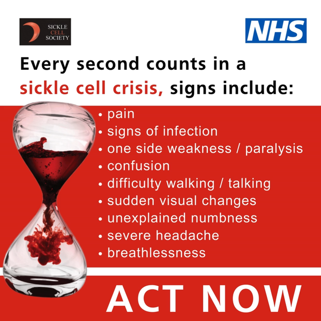 Videos | ACT NOW | Campaign Resource Centre