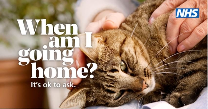 Social media assets | When Am I Going Home? | Campaign Resource Centre