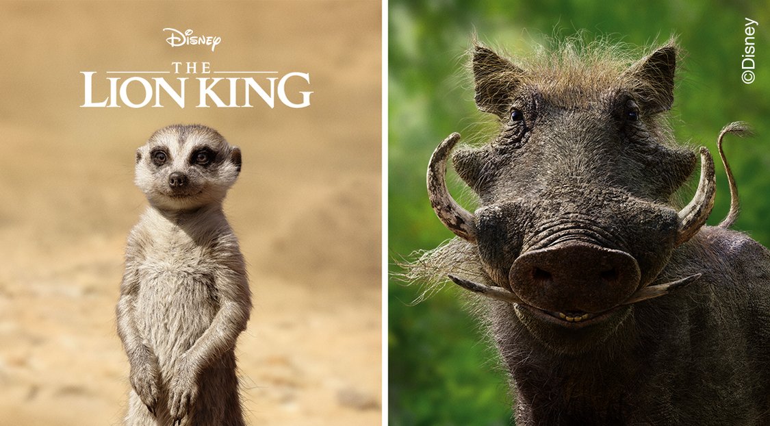 Timon and Pumbaa's Power Moves - 10 Minute Shake Up games - Healthier ...