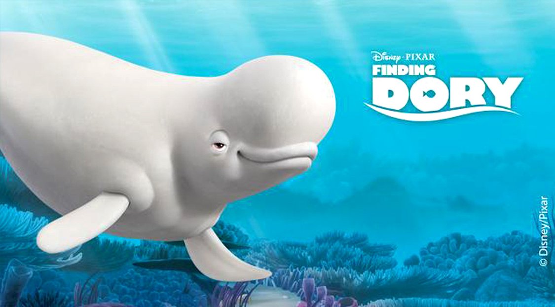 Bailey's Bouncing Ball - Finding Dory 10 Minute Shake Up games ...