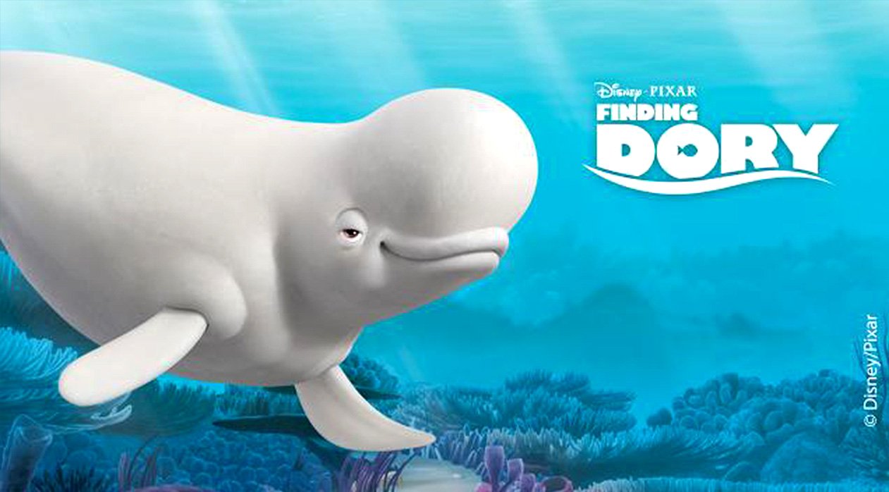 Bailey's Bouncing Ball - Finding Dory 10 Minute Shake Up games ...