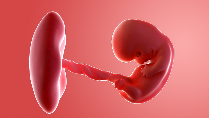 7 weeks pregnant guide - Best Start in Life - NHS