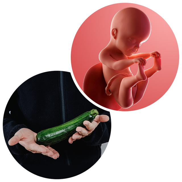 25 weeks pregnant guide - Best Start in Life - NHS