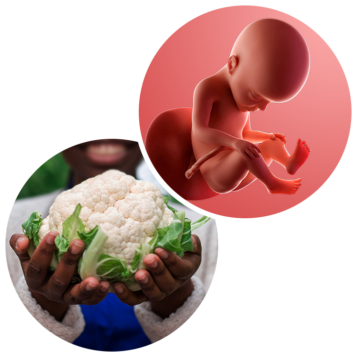 27 weeks pregnant guide - Best Start in Life - NHS