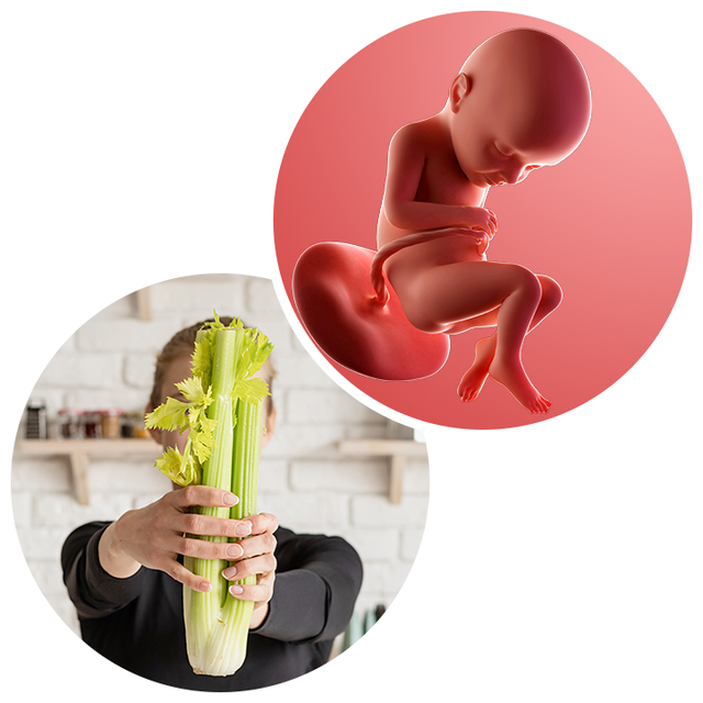 32 weeks pregnant guide - Best Start in Life - NHS