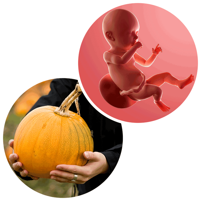 40 weeks pregnant guide - Best Start in Life - NHS
