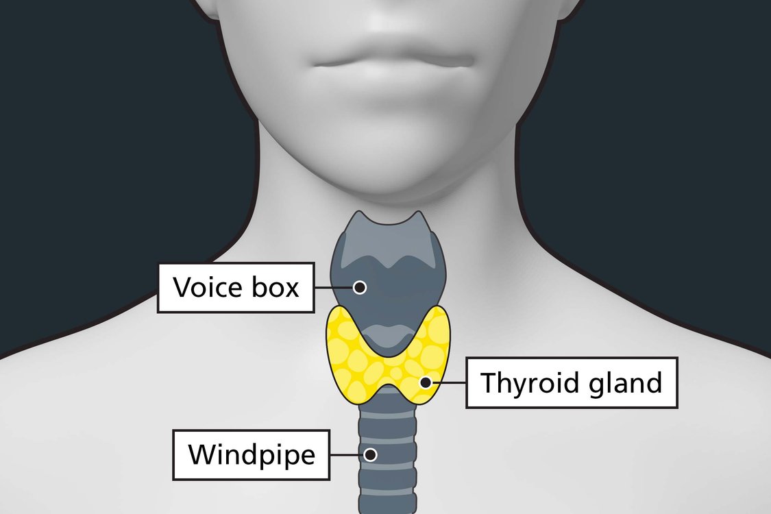 What is thyroid cancer? - NHS