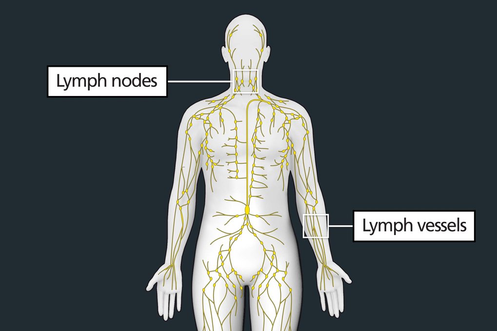 What is Hodgkin lymphoma? - NHS