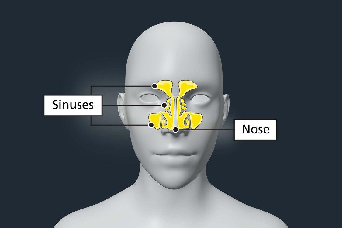 What is nasal and sinus cancer? - NHS