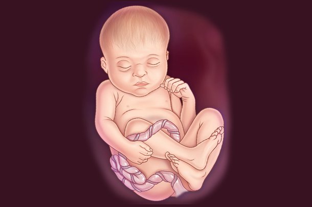 You And Your Baby At 37 40 Weeks Pregnant NHS UK you-and-your-baby-at-37-40-weeks-pregnant-nhs-uk
